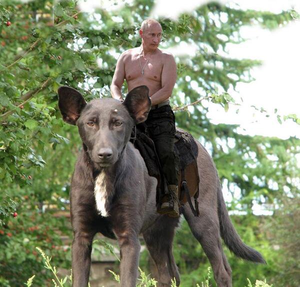 Putin Riding Animals