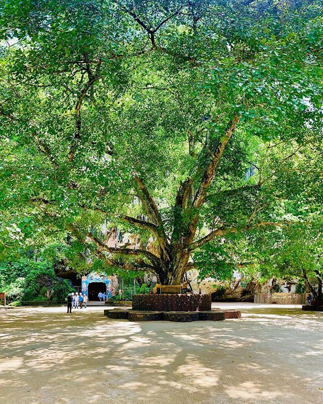 Nitish Murthy (@NiTiSHmurthy) | Twitter