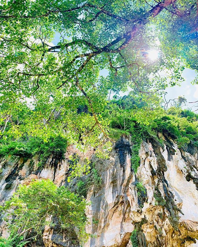 Nitish Murthy (@NiTiSHmurthy) | Twitter