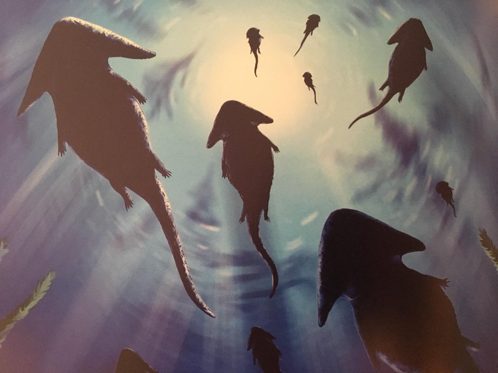 Hammerhead Salamander Diplocaulus