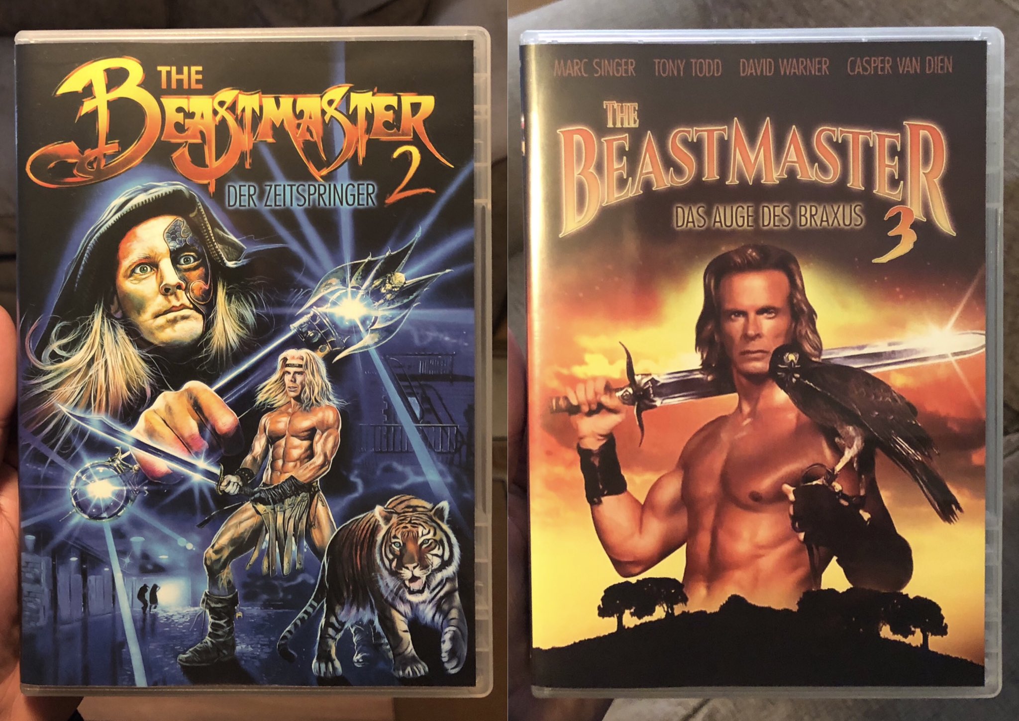 The Beastmaster 2