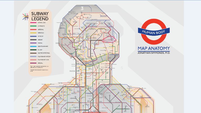 Tufts Medical Center resident creates unique map of human body | WCVB ...