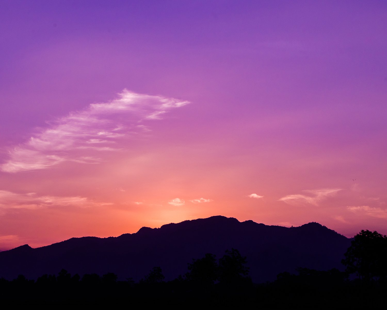 Real Sunset Landscape Photos