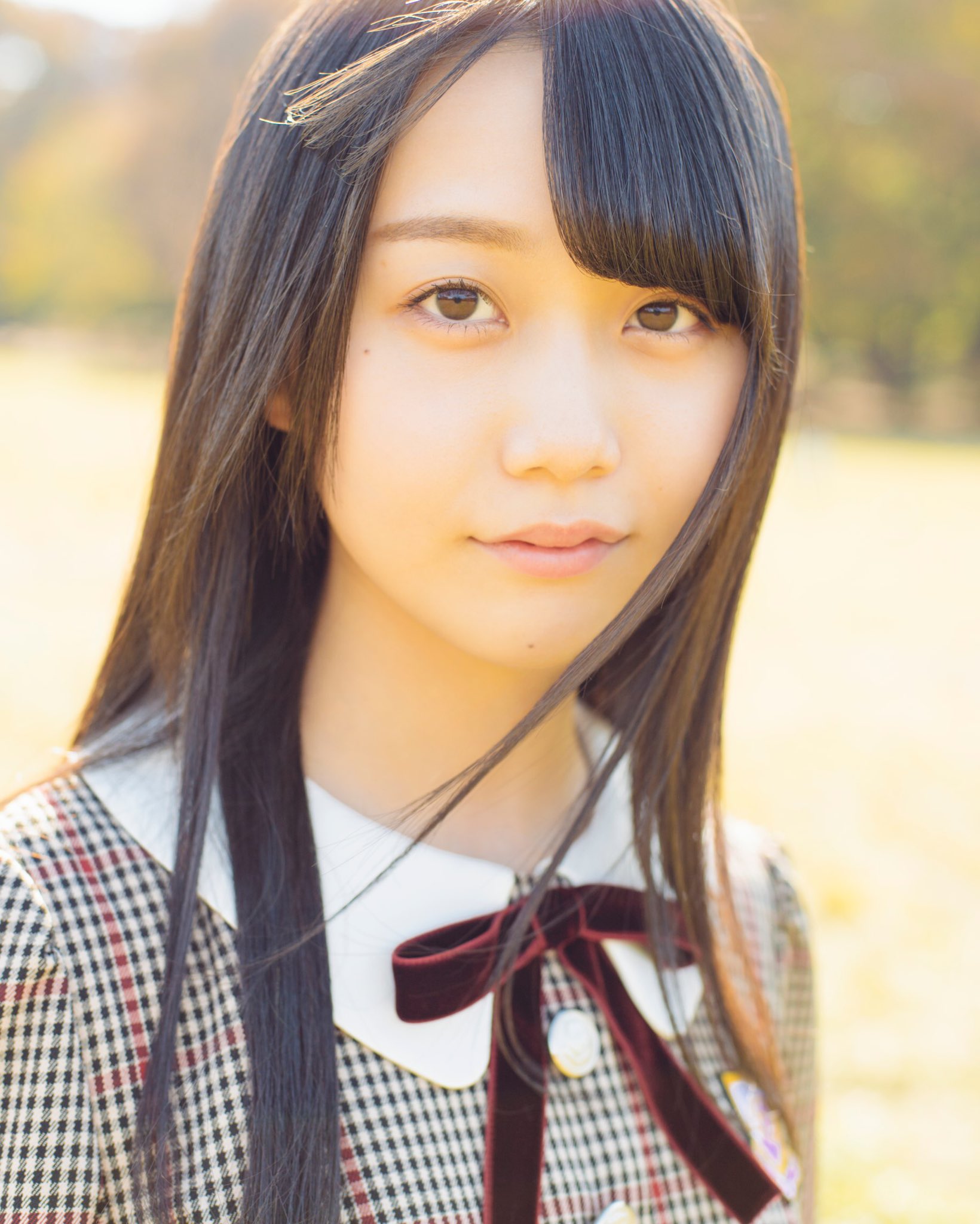 乃木坂46 on X: 乃木坂46 on X: