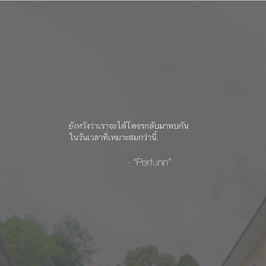 Poppy Patcharaporn (@1234pop1) | Twitter