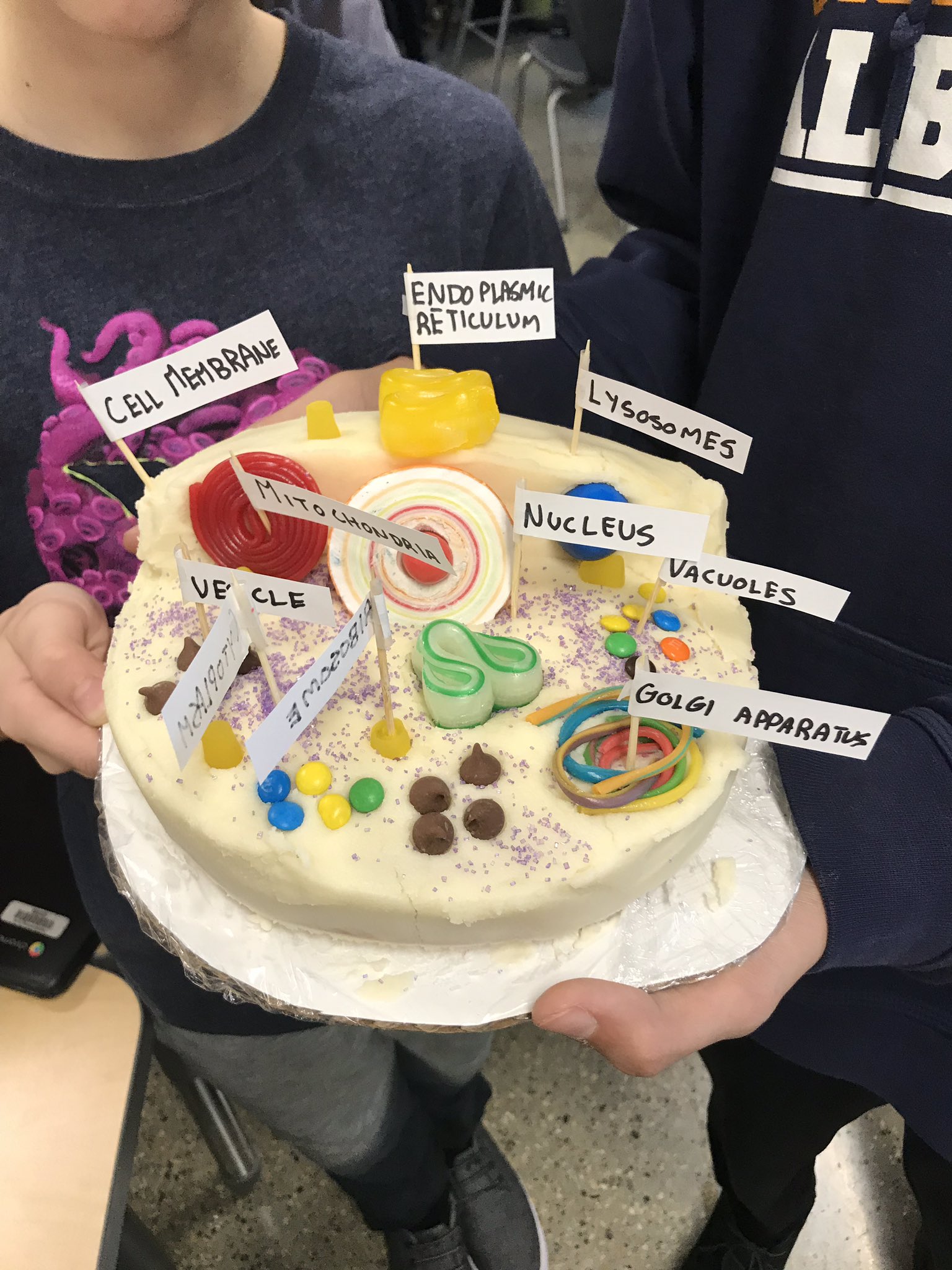 Animal Cell Project 3d Cake