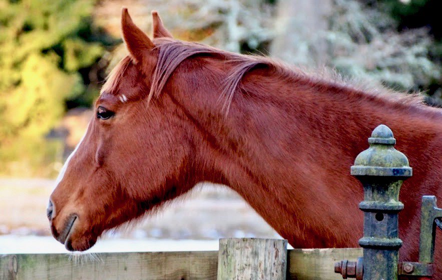 Tania Kindersley (@taniakindersley) | Twitter