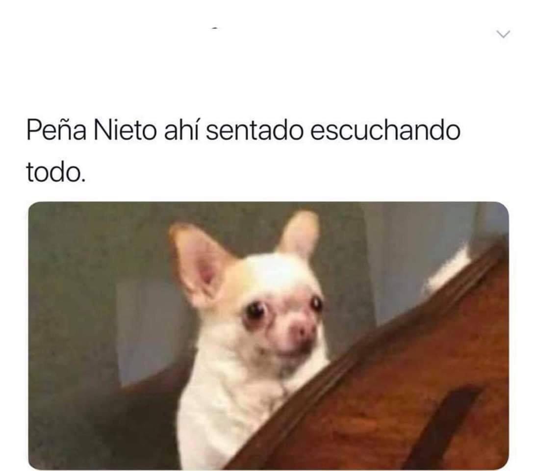 Grumpy Cat Hindi Memes