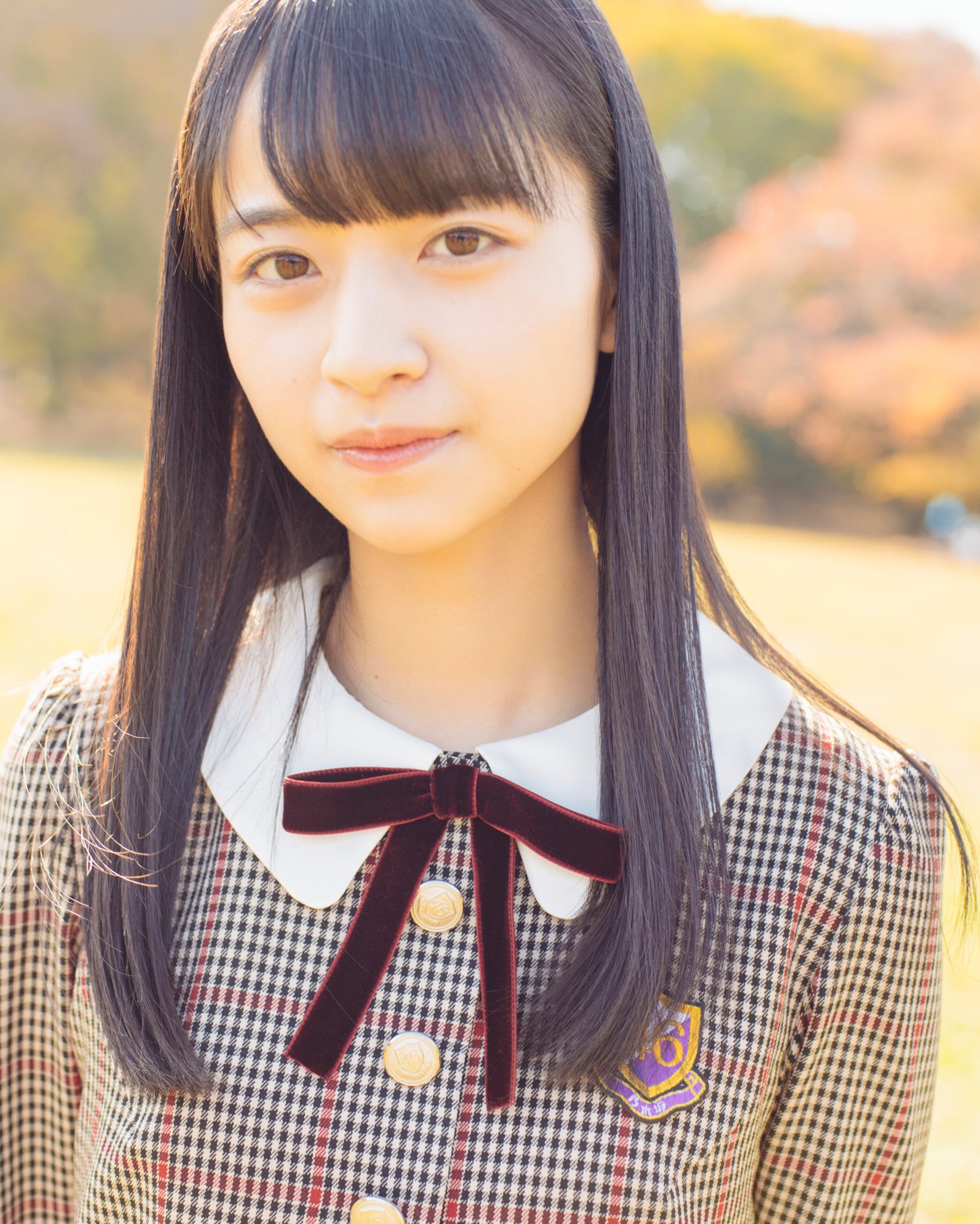 乃木坂46 on X: 乃木坂46 on X: