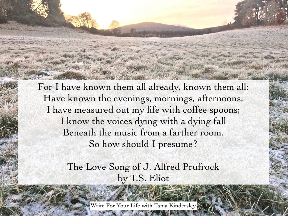 Tania Kindersley (@taniakindersley) | Twitter