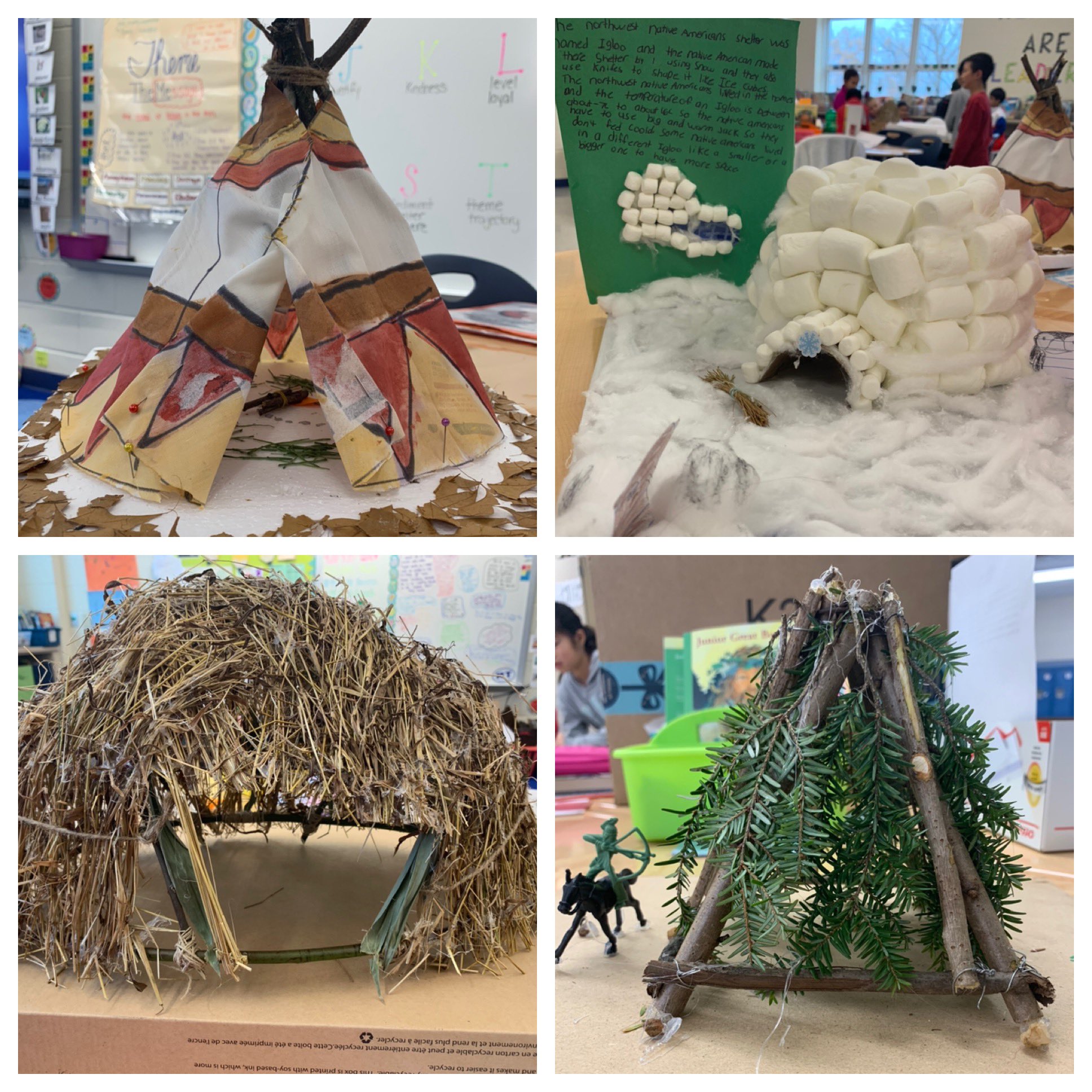Native American Igloos