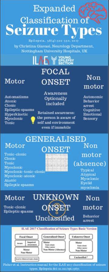 Types Of Seizures Chart