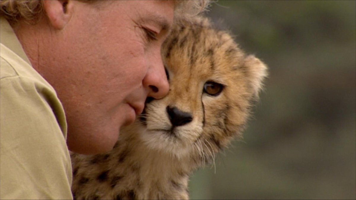 Steve Irwin With Animals