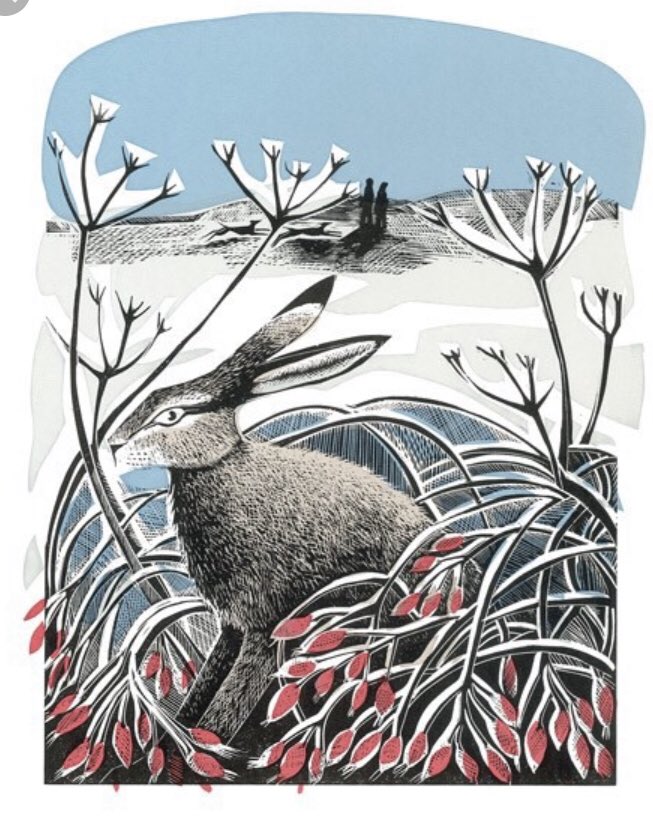 Twoucan - ANGELA HARDING (@ANGELACHARDING)