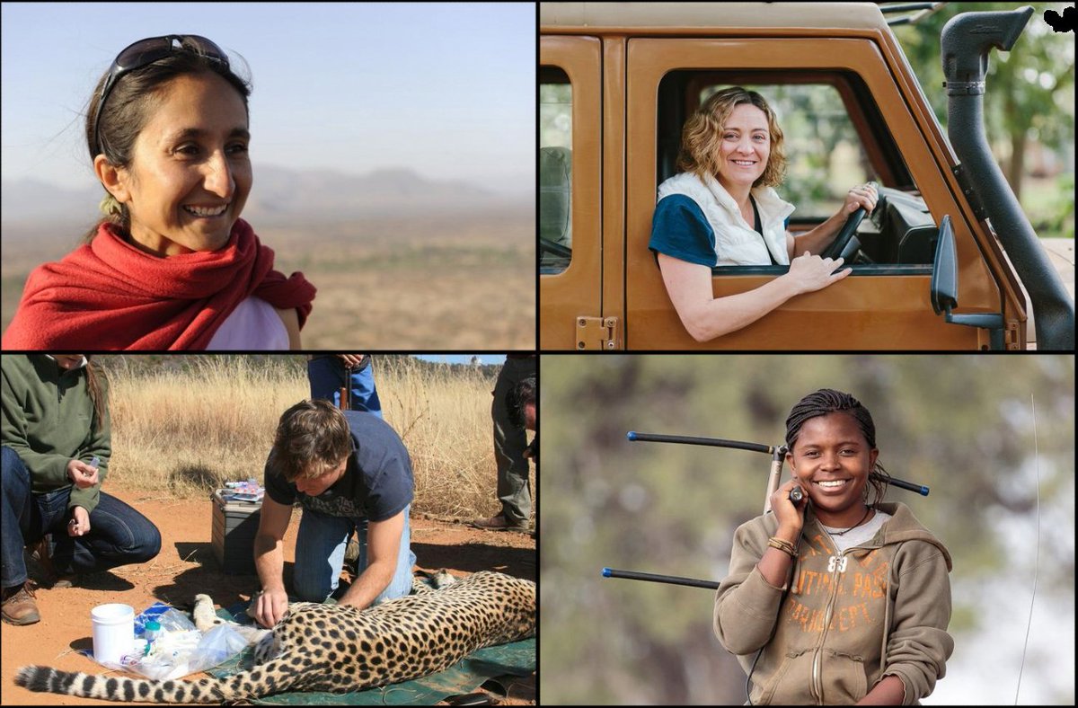 Geo Education Campaign | National Education