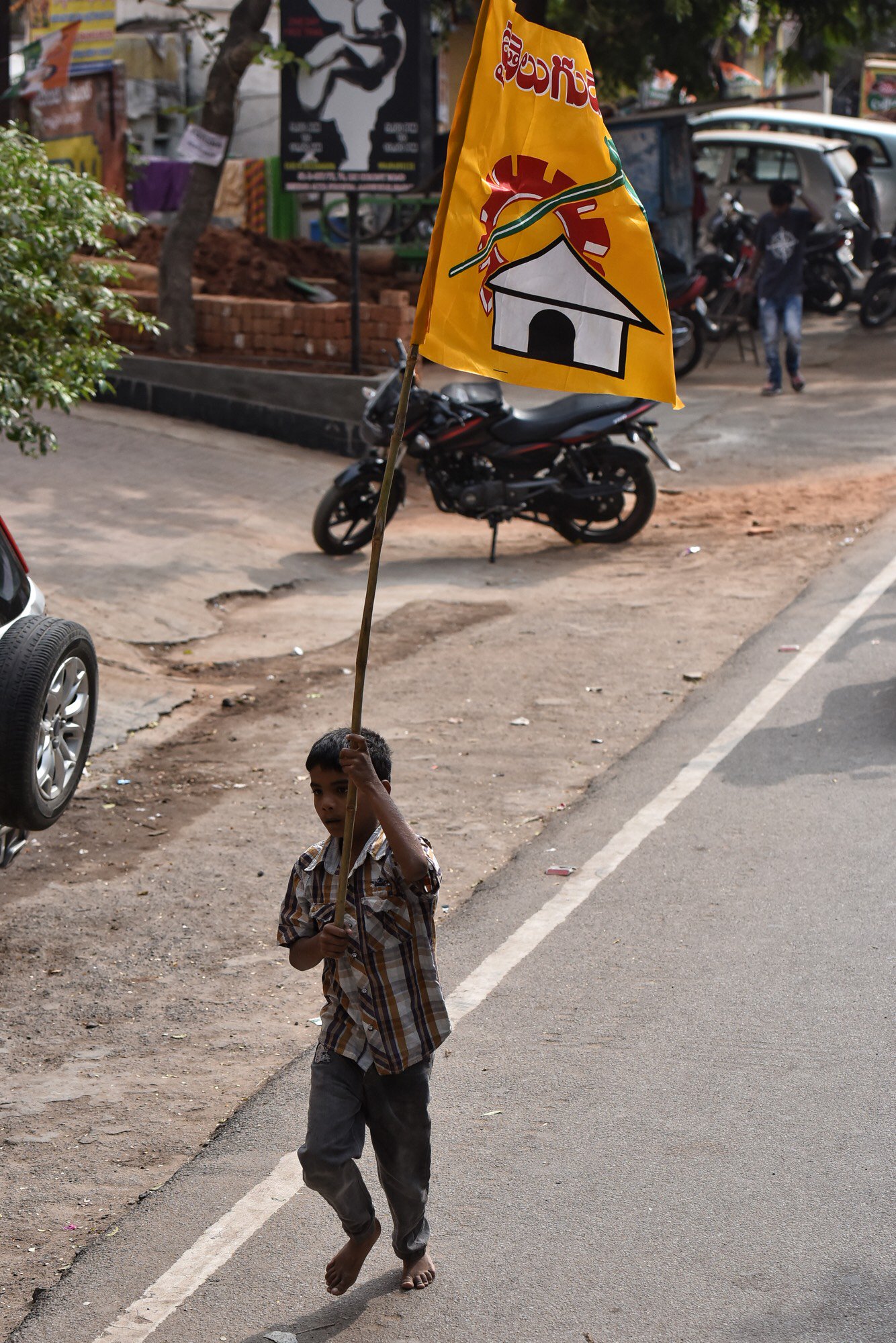 Tdp Party Flag
