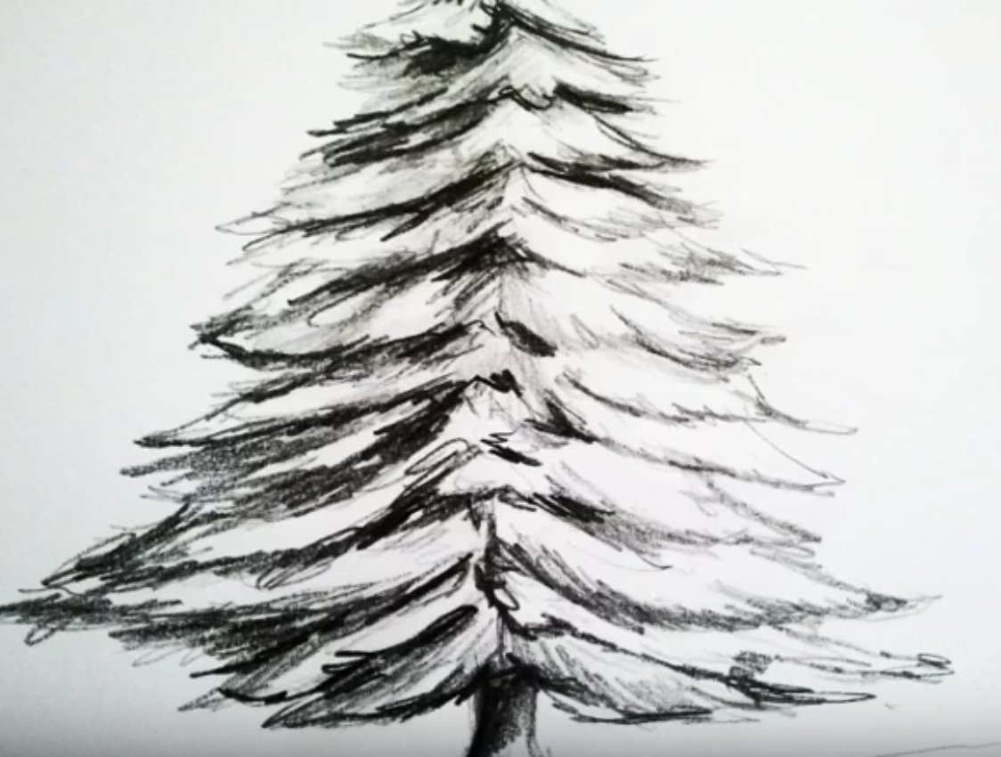Christmas Tree Pencil Sketches