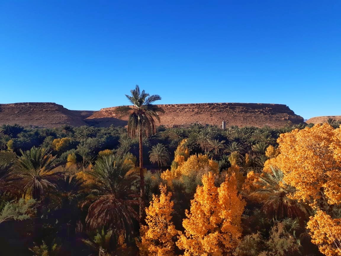 Best Time To Visit Morocco: Seasons To Visit & Tips For Travelling