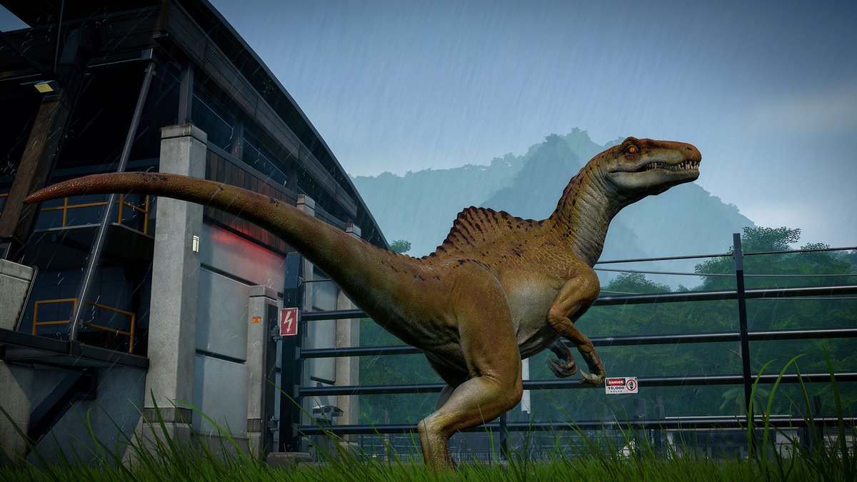 20 best Twitter @jw_evolution images on Pholder | When you accidentally ...