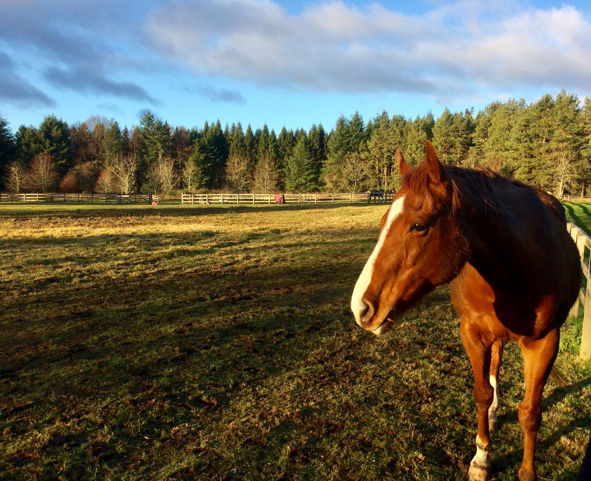 Tania Kindersley (@taniakindersley) | Twitter