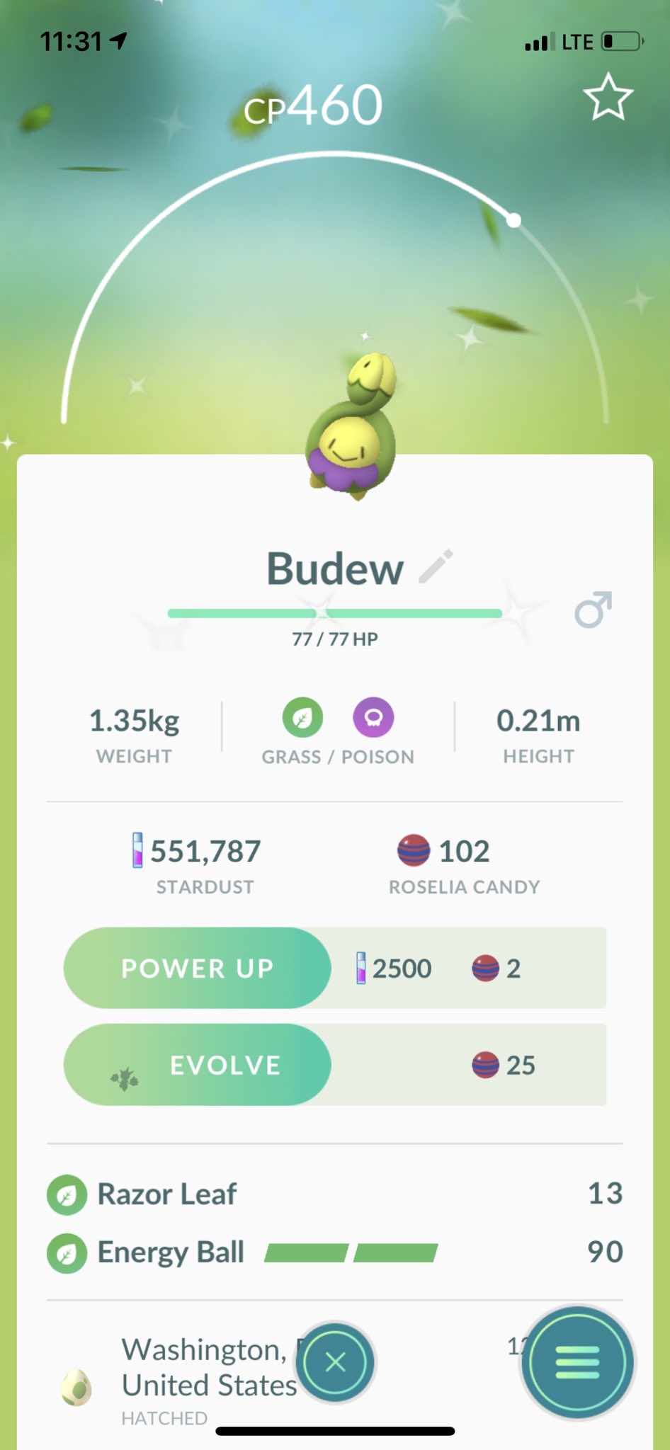 Budew Evolution