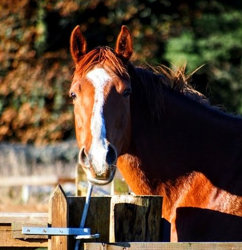 Tania Kindersley (@taniakindersley) | Twitter