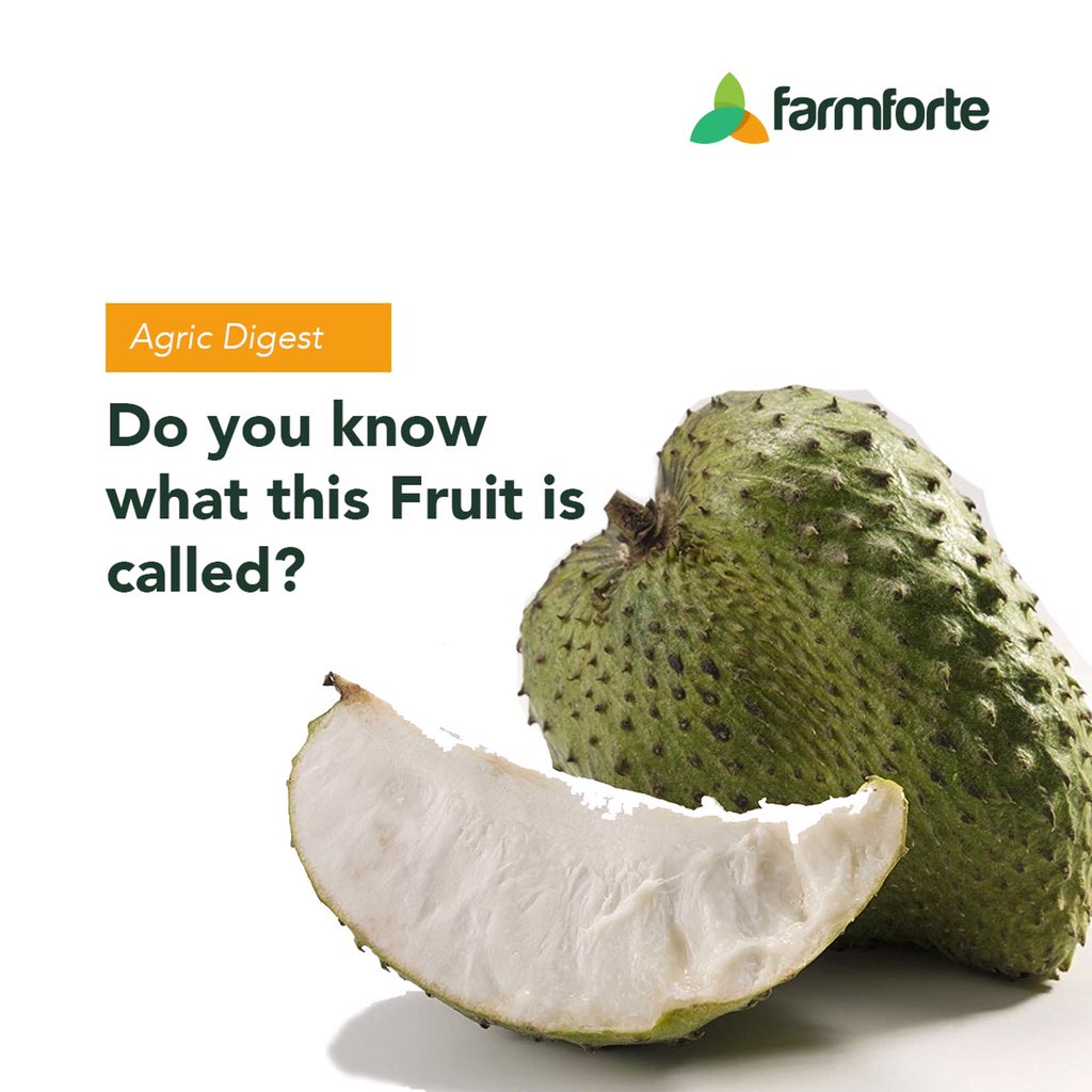 Guanabana Fruit Cancer Treatment