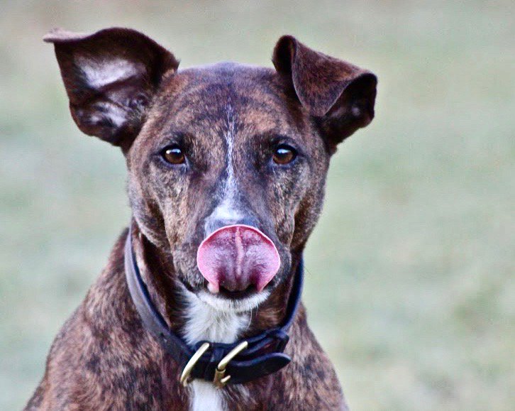 Tania Kindersley (@taniakindersley) | Twitter