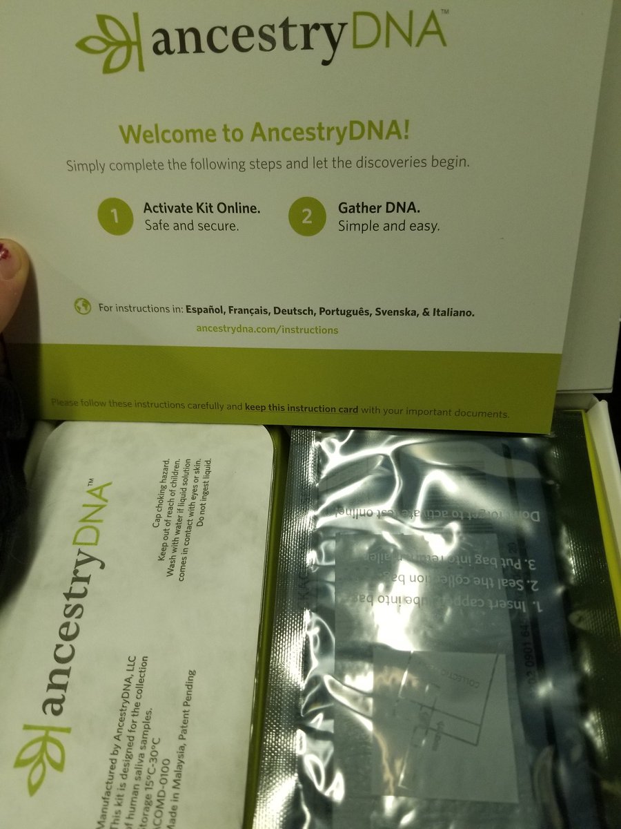 Pixie Kittie Pixiekittie Twitter 9776