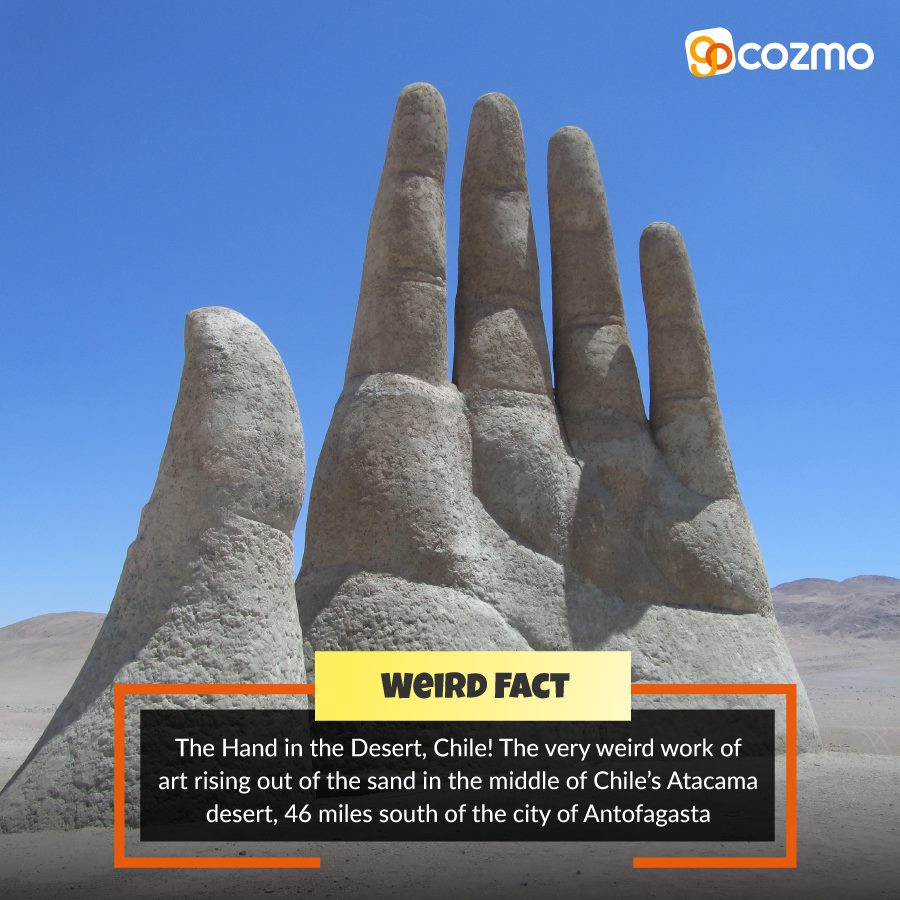 Atacama Desert Hand
