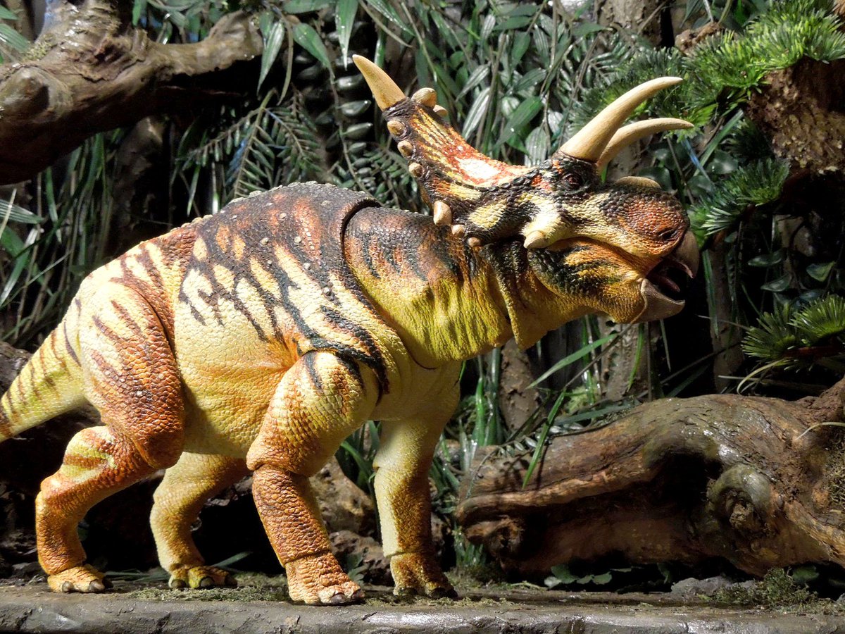 Xenoceratops Pics