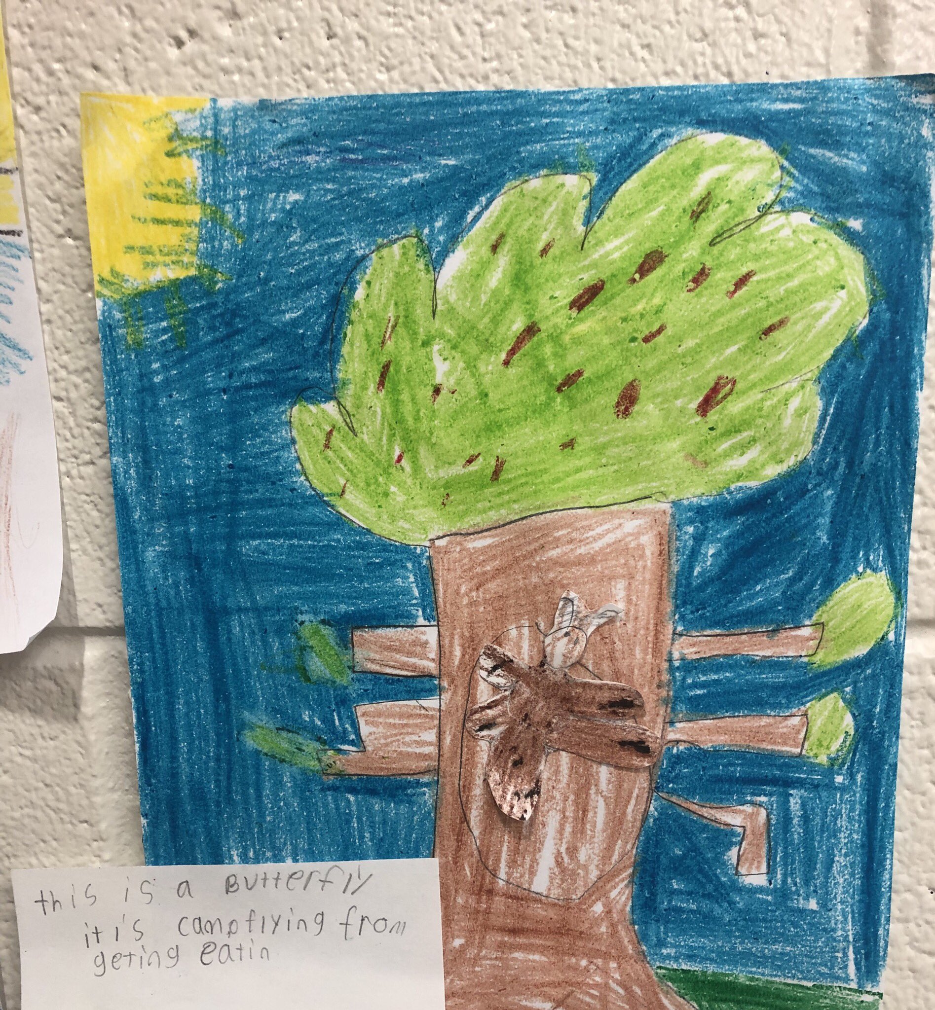 Drawing Animals In Camouflage