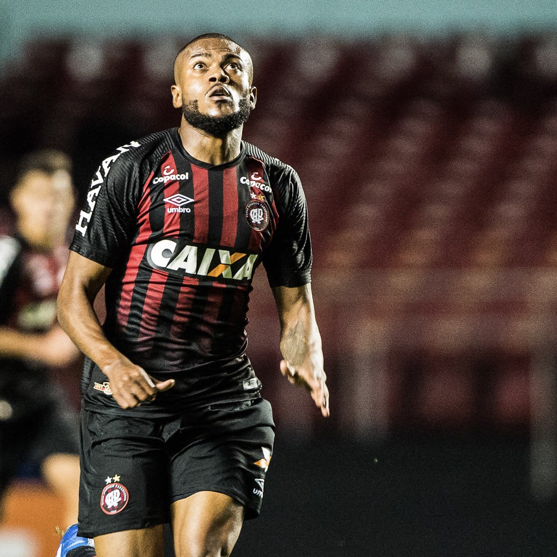 Marcelo Cirino: todas as notícias de última hora ao vivo, fotos e ...