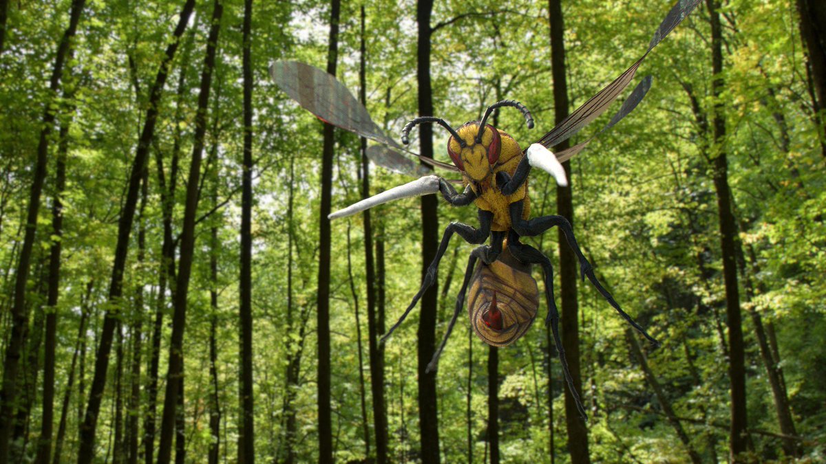 Beedrill In Real Life