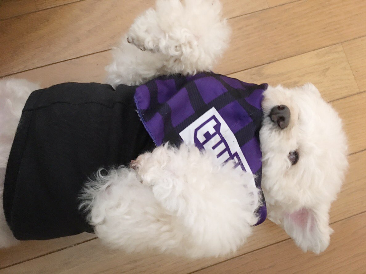#mood Neet life with ＃Twitch #mood Meowko @meowkolol