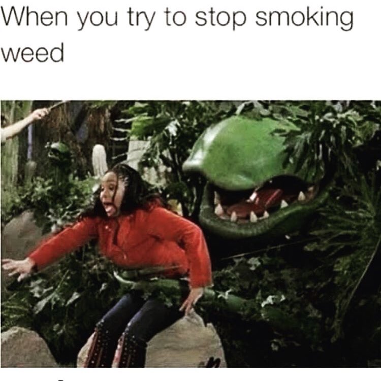 Quit Smoking Weed Meme