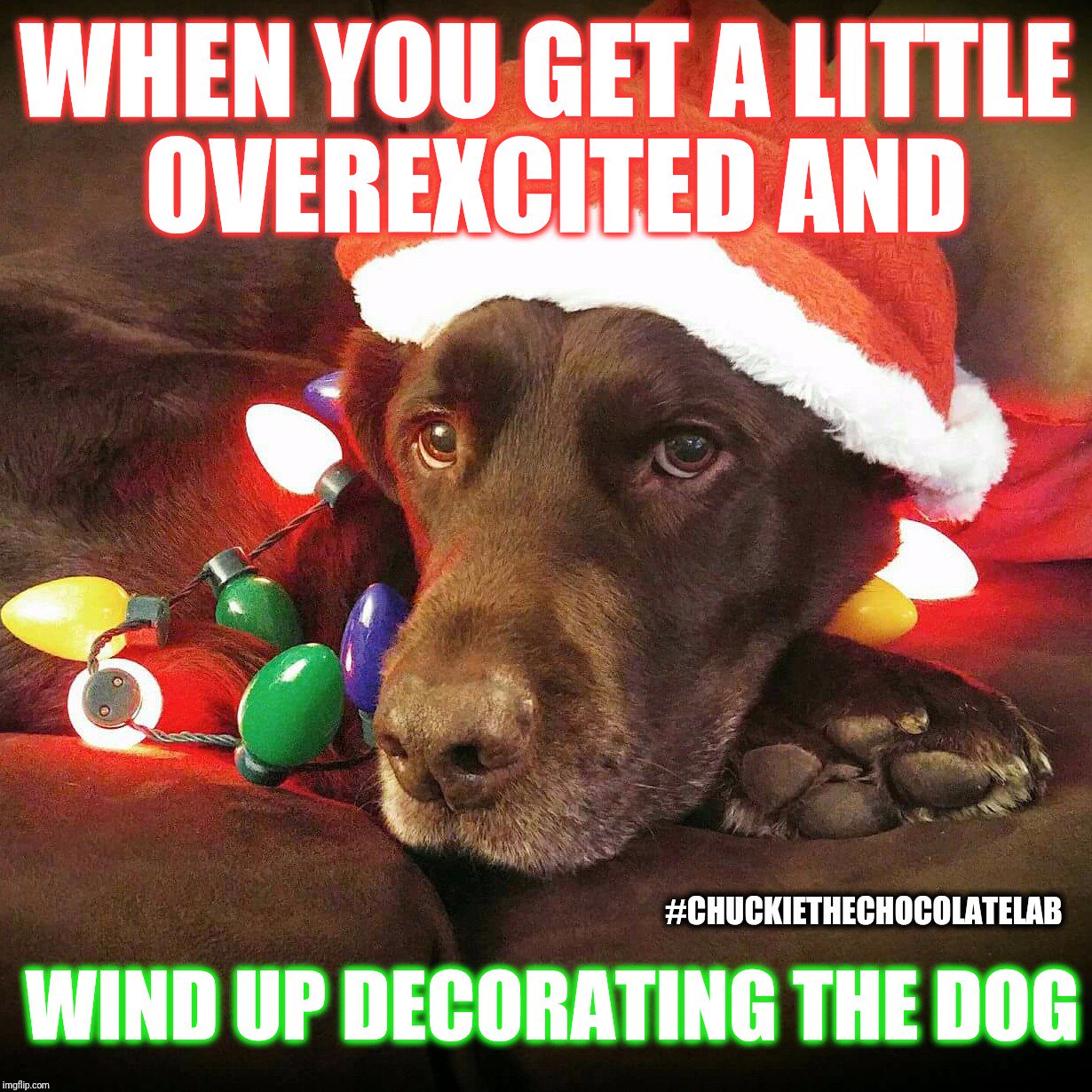 Christmas Dog Meme