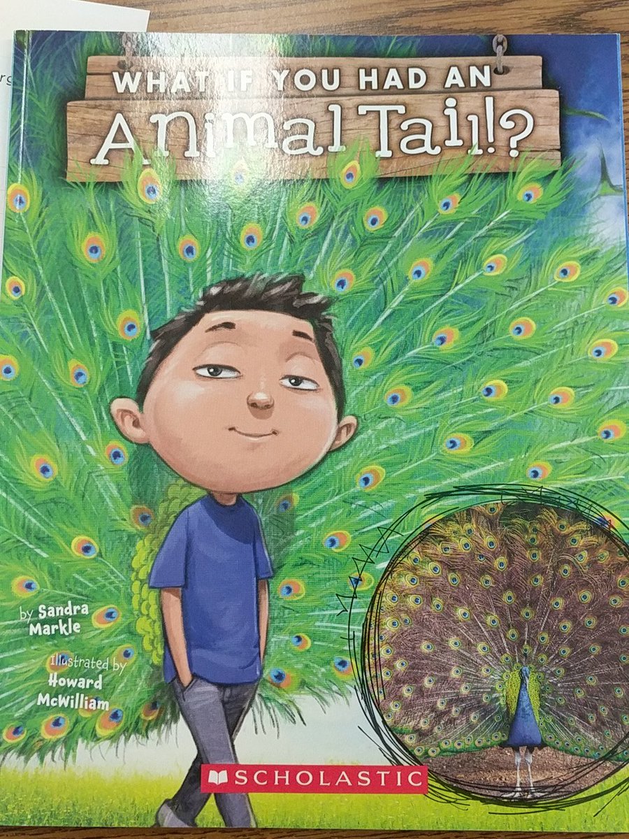 Kate Gandenberger on Twitter: "Our 5th graders have been learning all ...