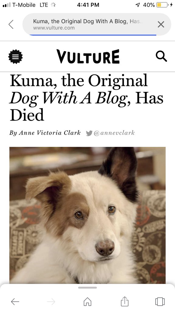 Is Kuma The Dog Dead