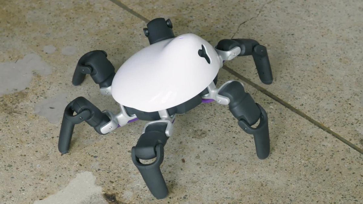Meet Hexa: the fascinating yet unsettling six-legged robot. | WIRED ...