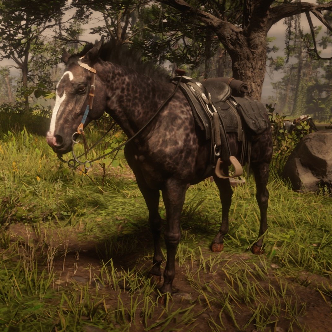 Where Is The American Standardbred In Rdr2