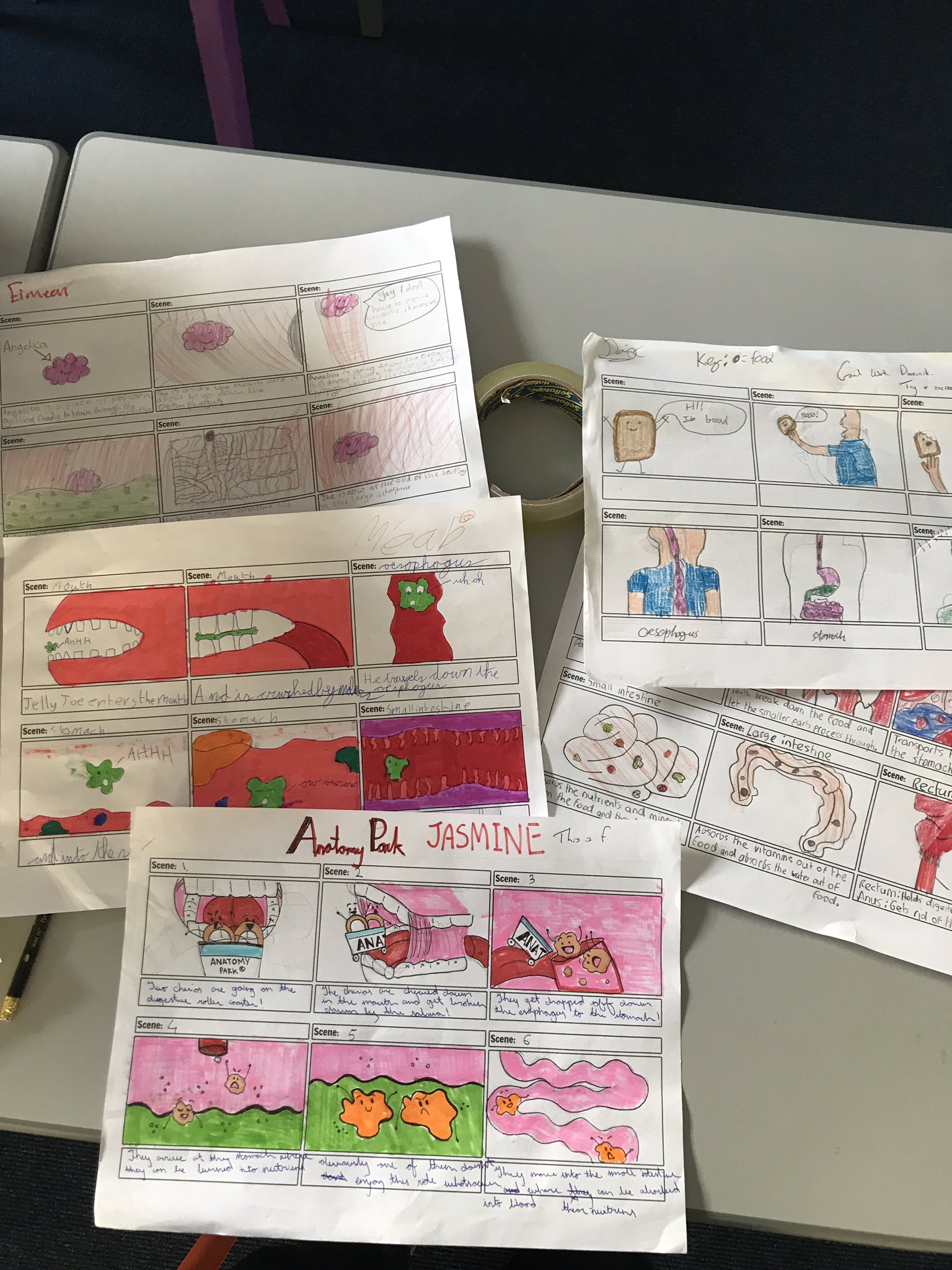 Digestive System Storyboard By Oliversmith Human Digestive System