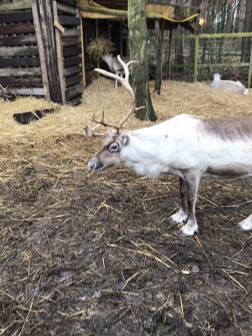 Welcome to Rothbury First School