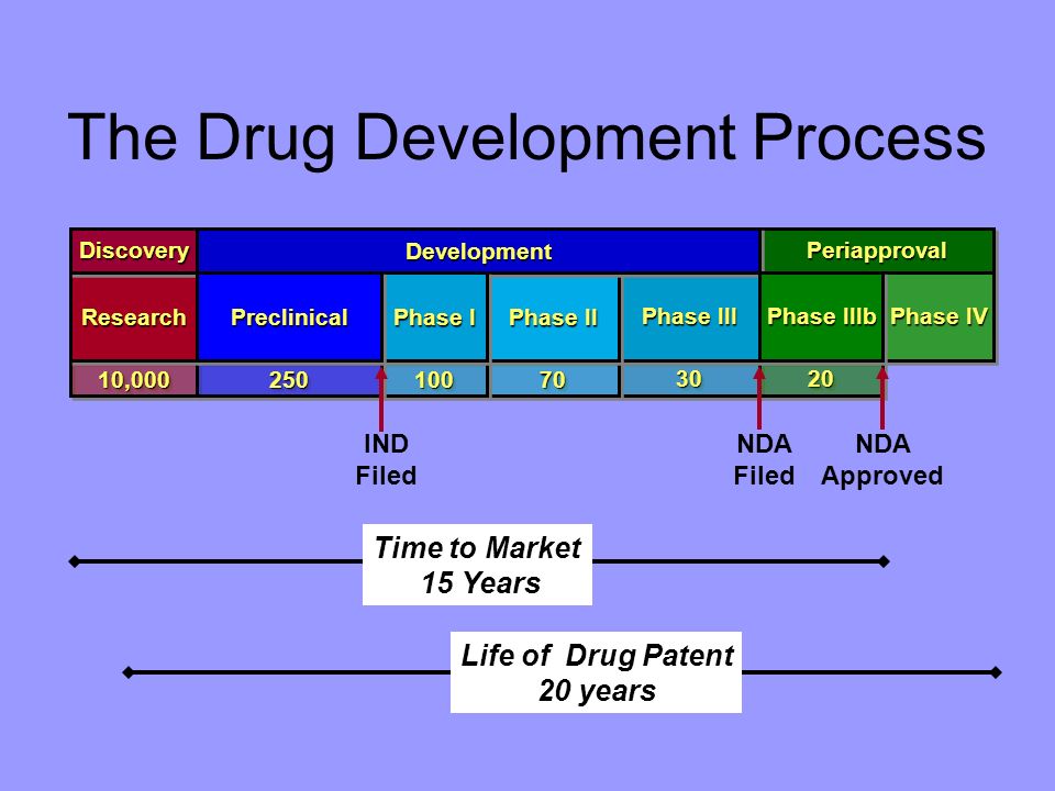 Drug Development Process Overview