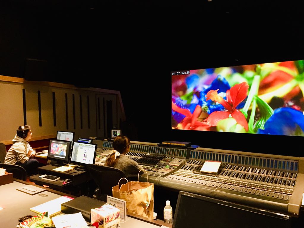 吉開菜央/Nao YOSHIGAI (@naoyoshigai) | Twitter