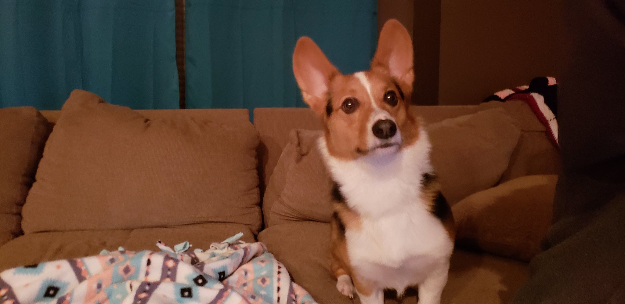 93X Morning Show on Twitter: "To celebrate Ashley finishing her finals, Nick brought on his ...