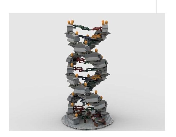 Dna Structure Model Project Ideas
