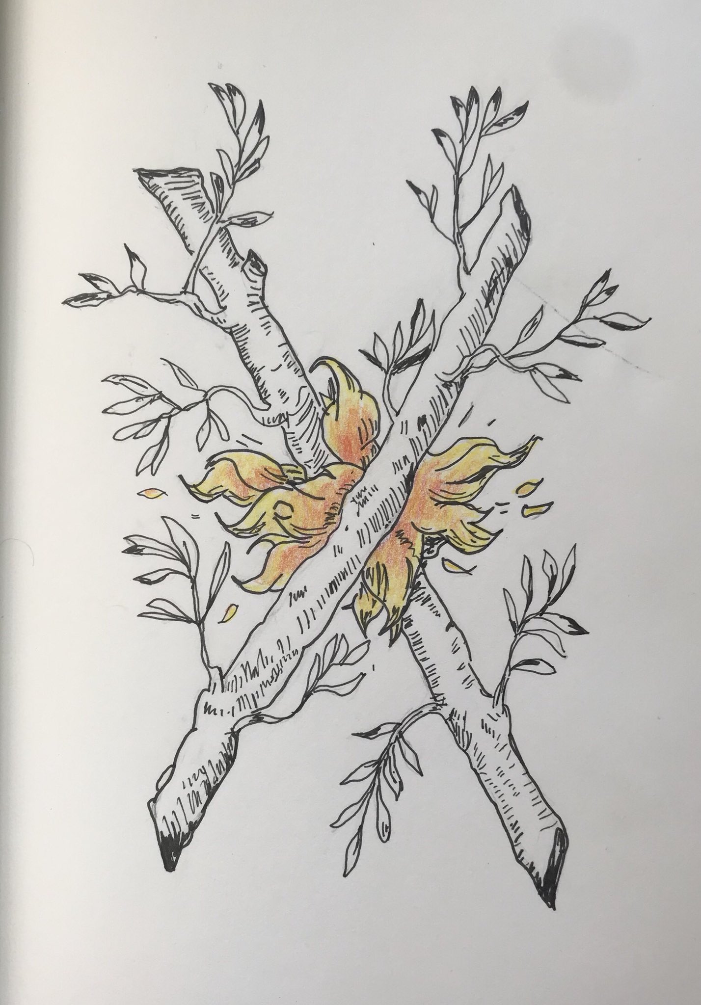 Winter Solstice Drawing