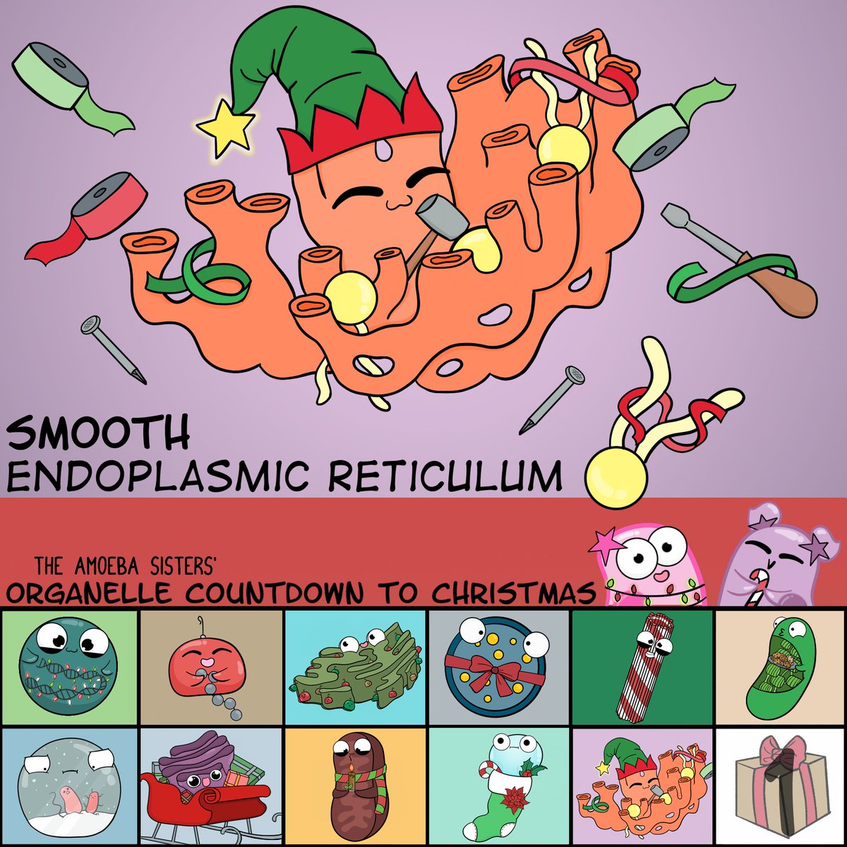 Smooth Endoplasmic Reticulum Drawing