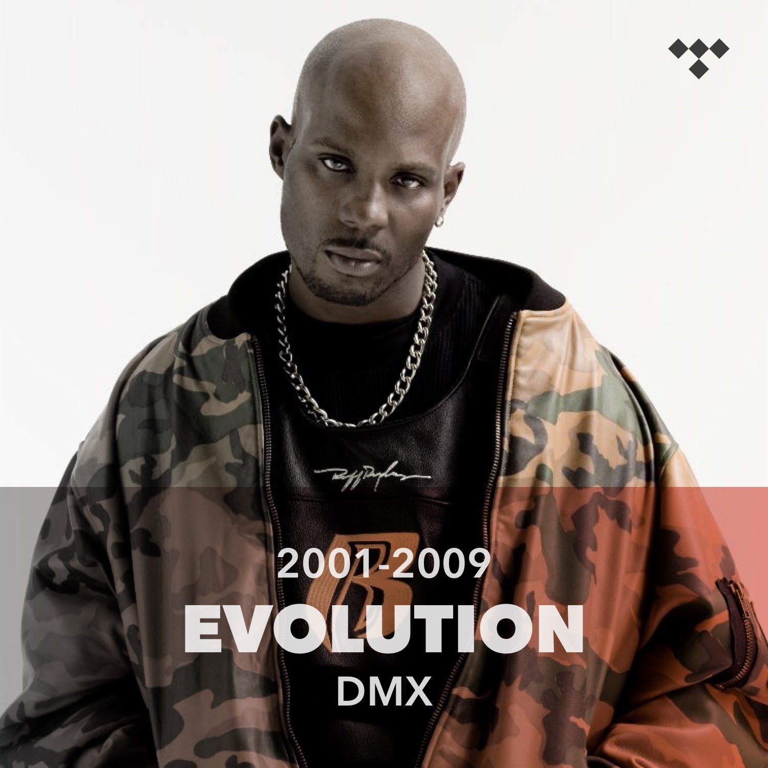 Dmx 2001